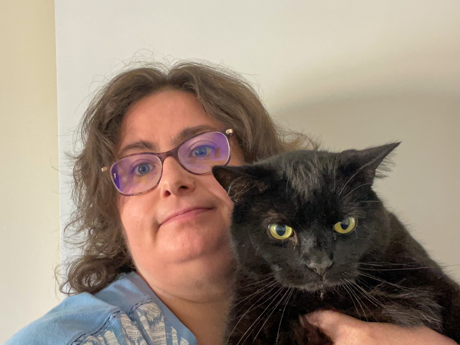 About Us : Graylands Cat Clinic