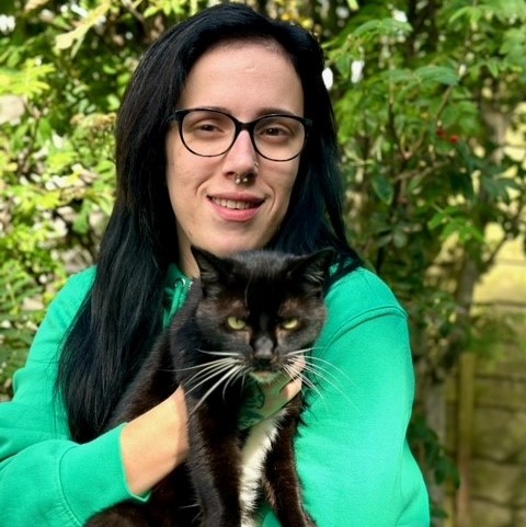 About Us : Graylands Cat Clinic